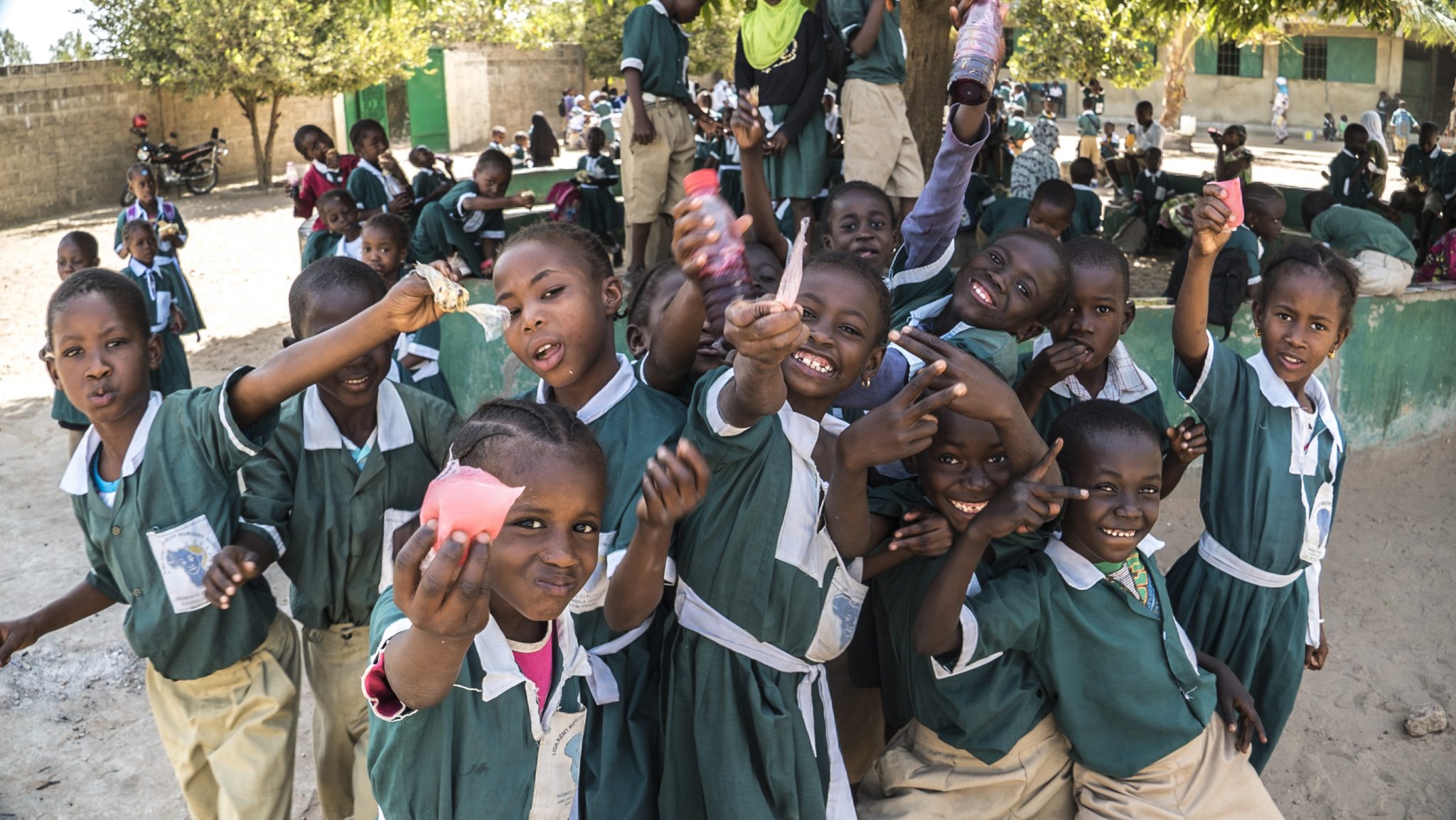 Our Team - Lisa Kent Trust