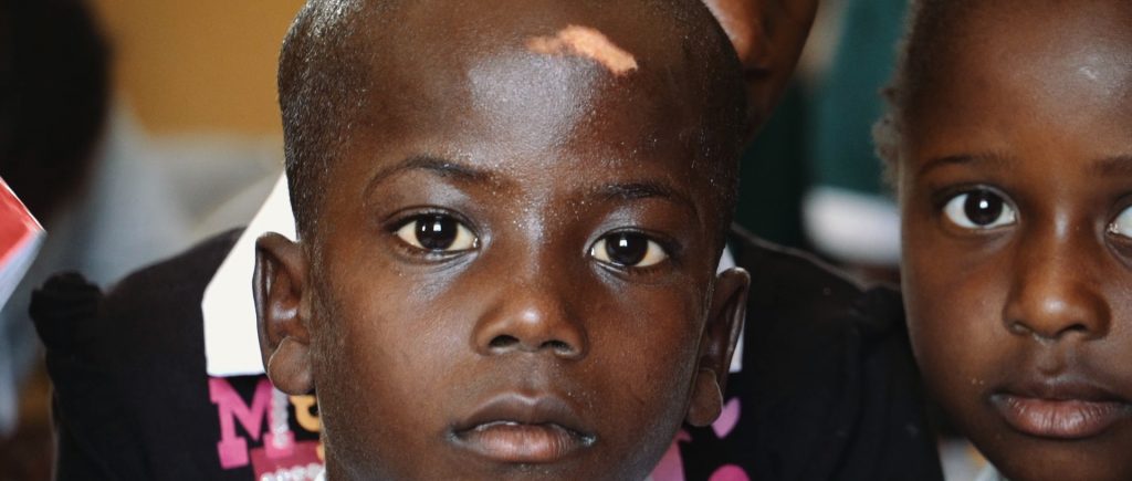 Gallery - Lisa Kent Trust